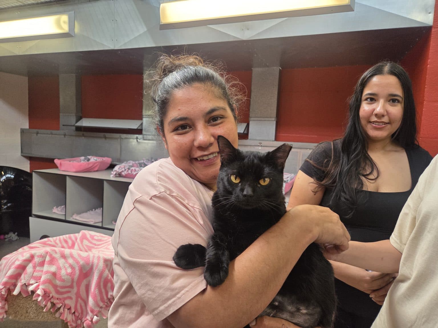 Safety Net Programs - Cat Depot